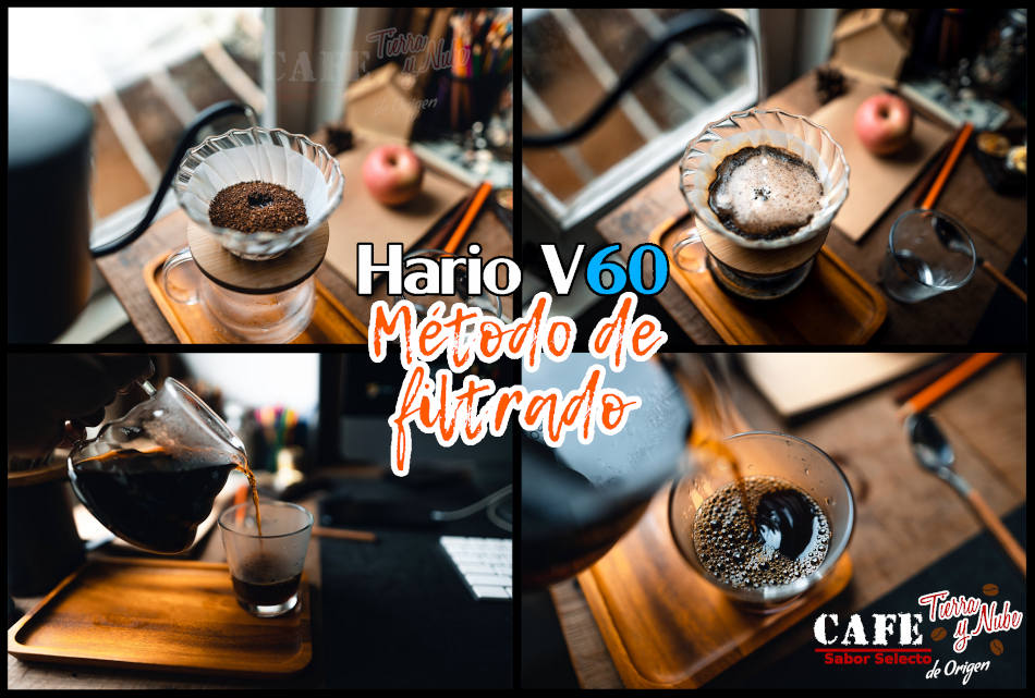 Hario V60 – el método de filtrado de origen japonés - Café Tierra y Nube